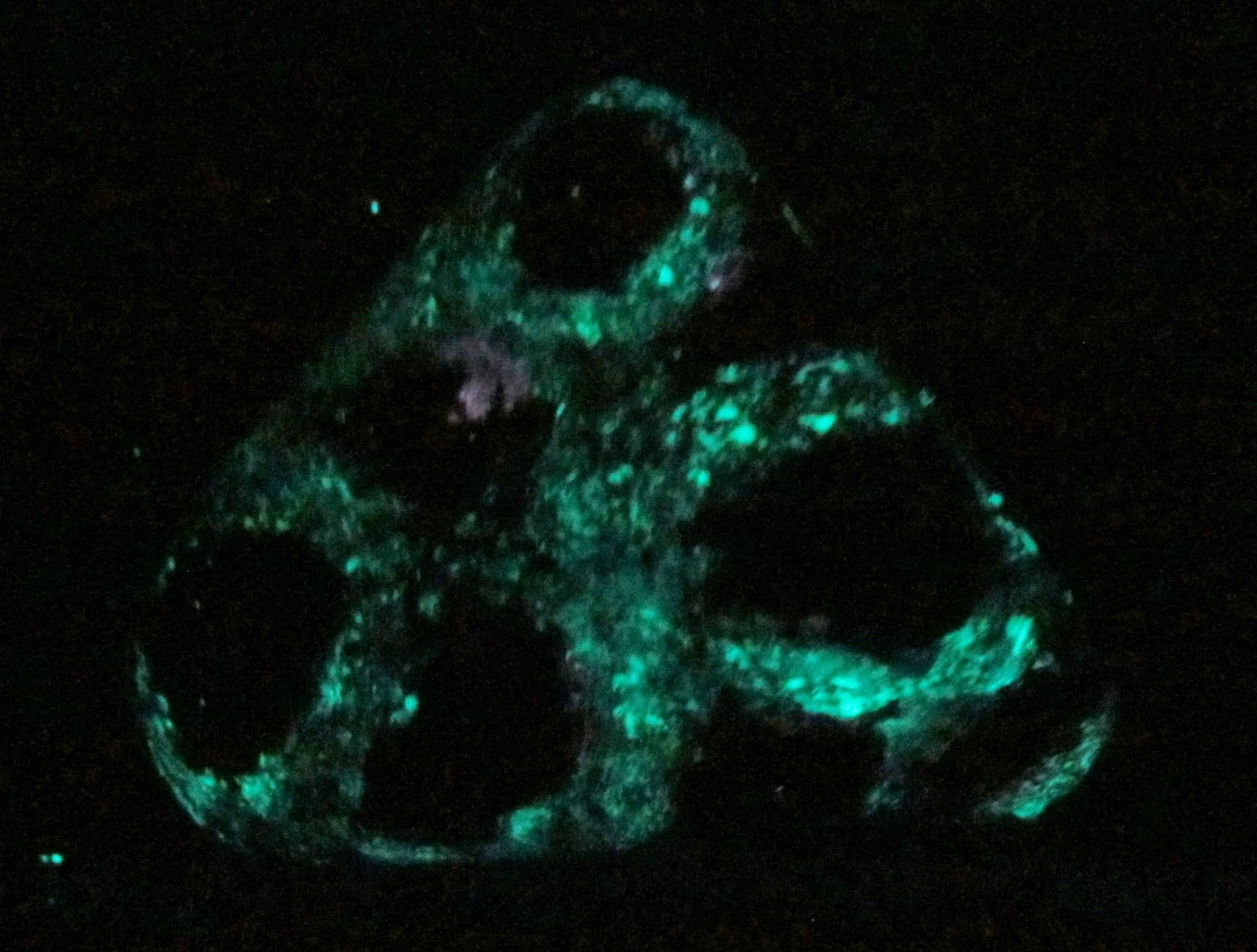 Learn To Grow: Painted Glow Rocks!