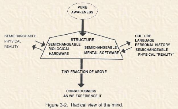 Processi Dinamici Globali: la Struttura che Connette dal KaliYuga al ...
