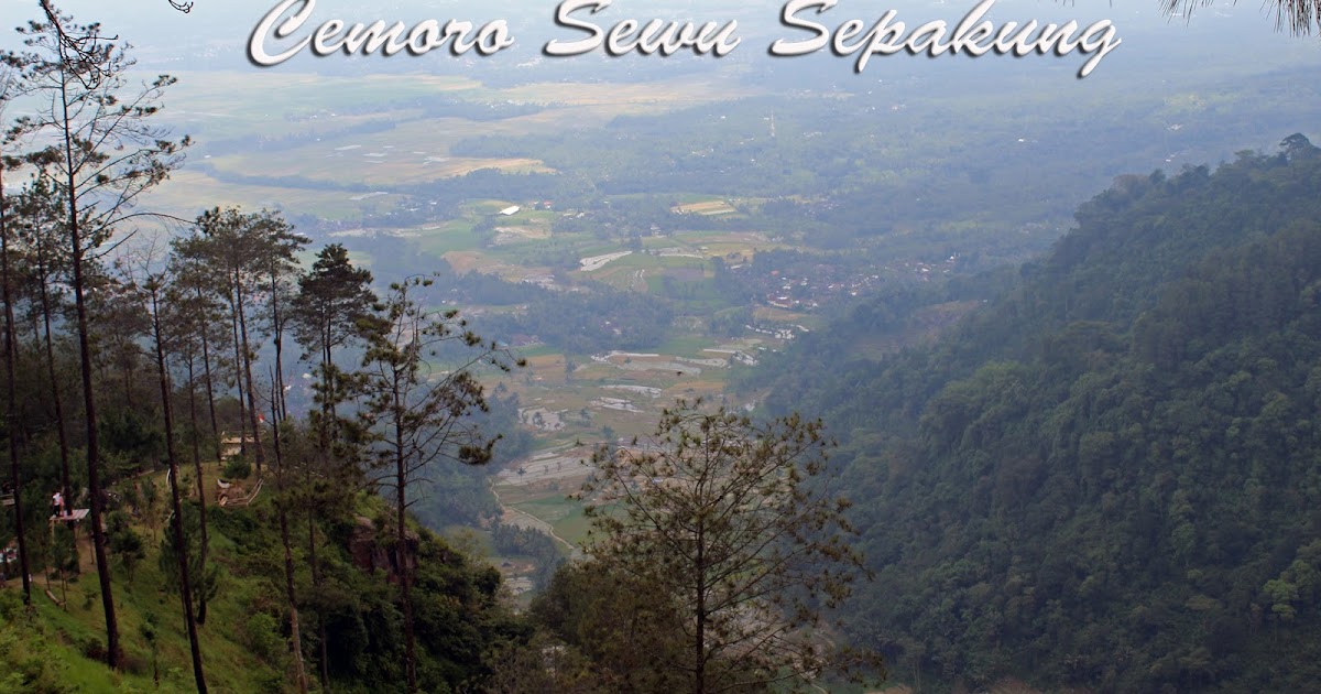Menikmati Pesona Cemoro Sewu dan Gumuk Reco Sepakung - BlogPacker Indonesia