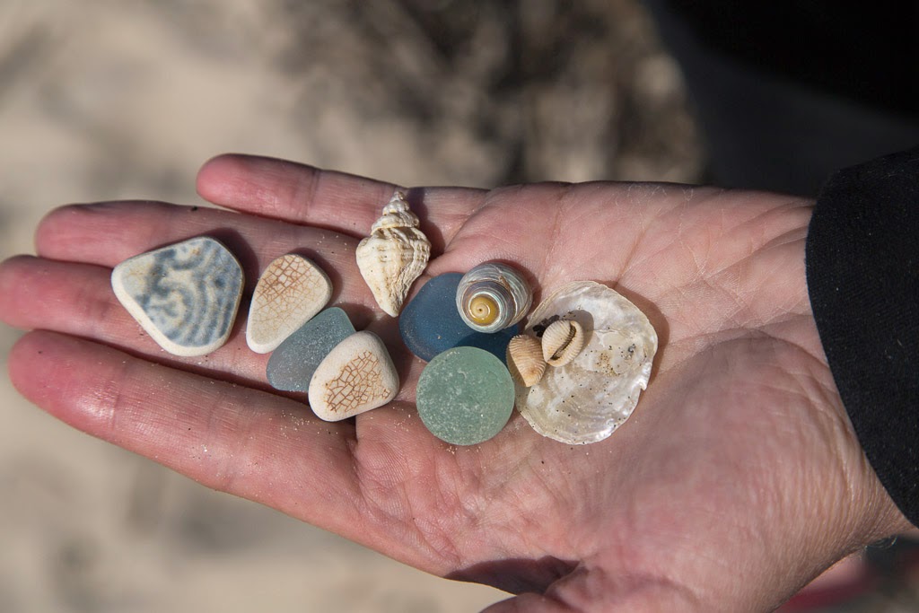 Sea kayaking with seakayakphoto.com: Daisies , shells, pottery and a ...