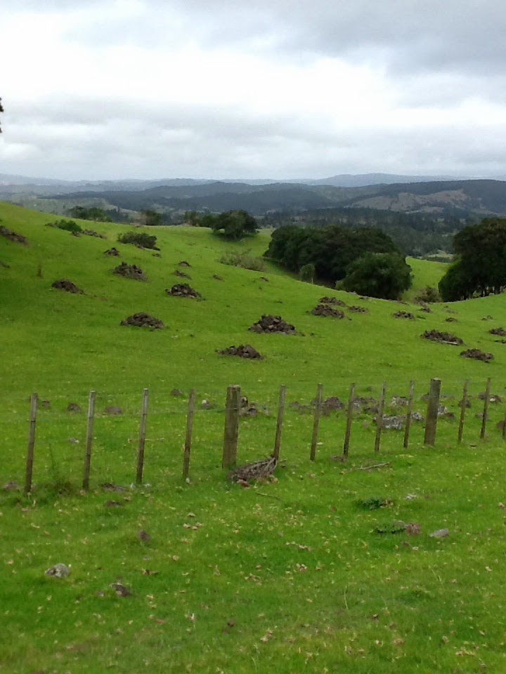 Ruma 1 @ Tautoro School: Ko Tauanui te maunga. Ko Kereru te roto. Te ...