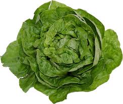 Herbs-Treat and Taste: LETTUCE OR SALAD PATA - HEALTH BENEFITS AND USES ...