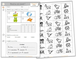 Vivant / non vivant, animal / végétal : faire la différence