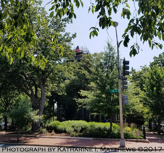 Kim's Garden: The Greens of Summer at Kim's Garden