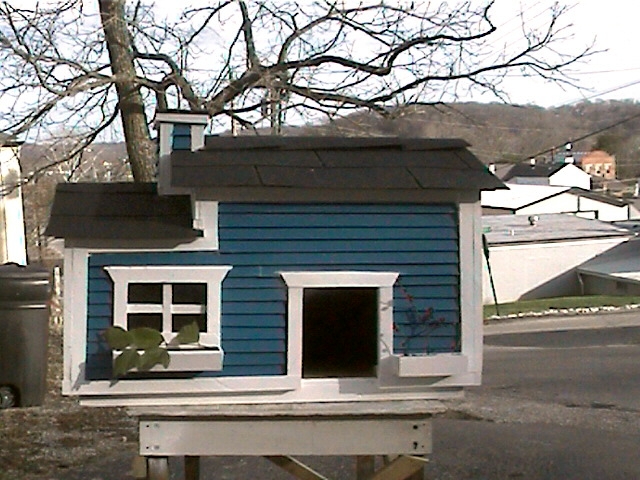 Miamitown Custom Dog Houses