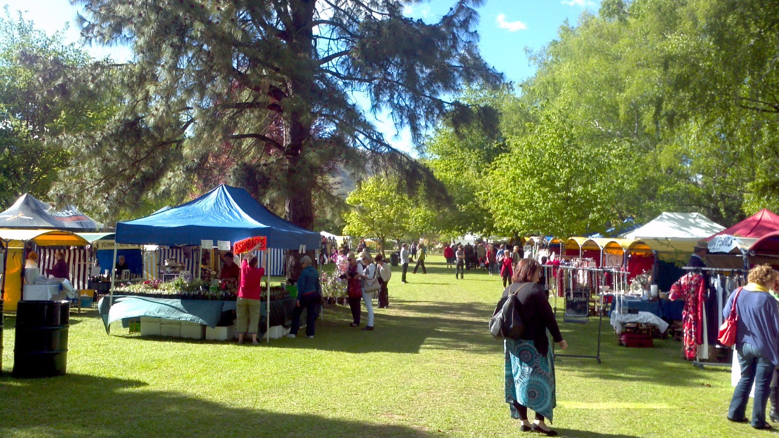 koolaman: What's ahead for koolaman designs 2013