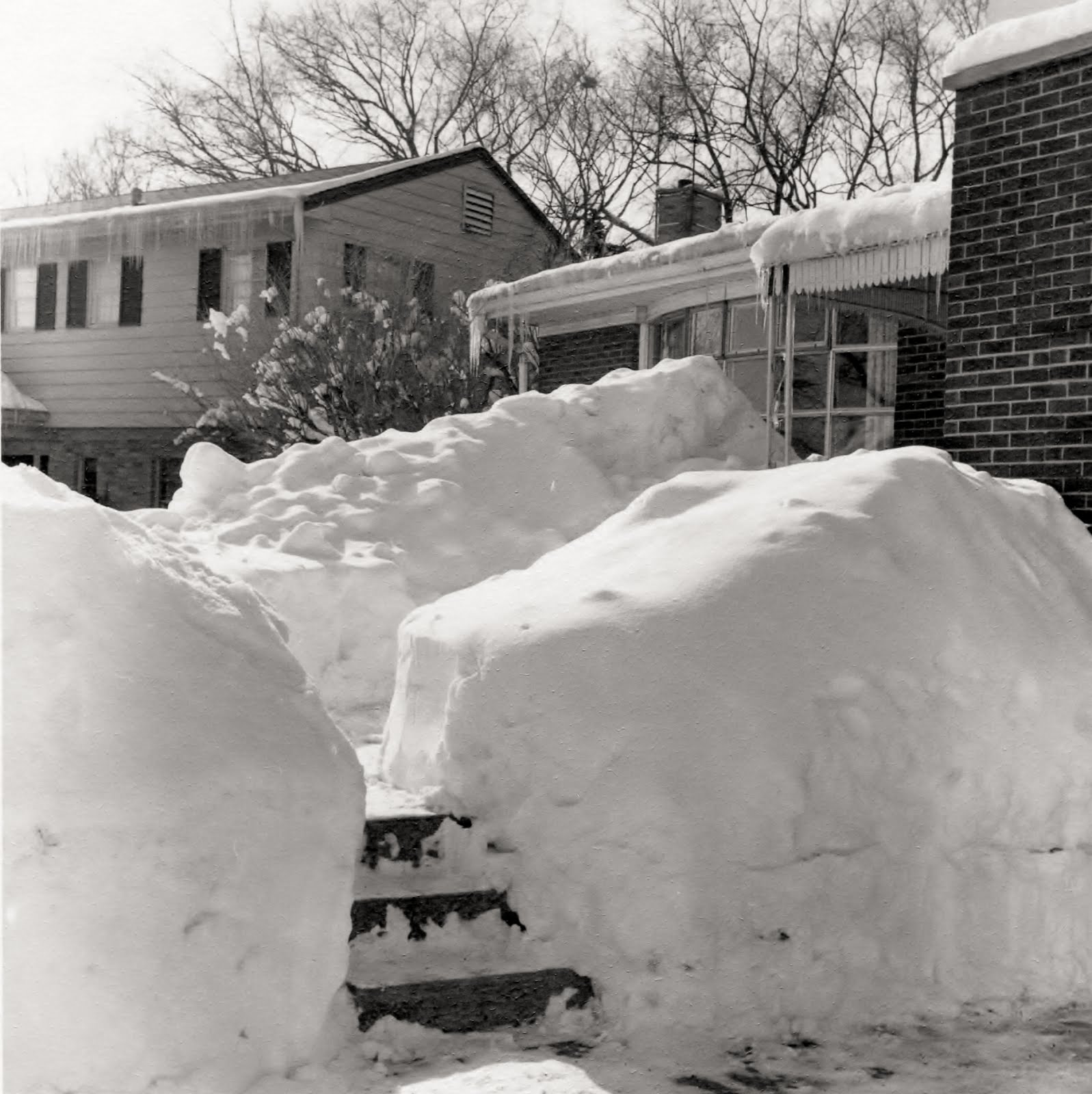 Amber Reunion: The Aftermath of the Blizzard