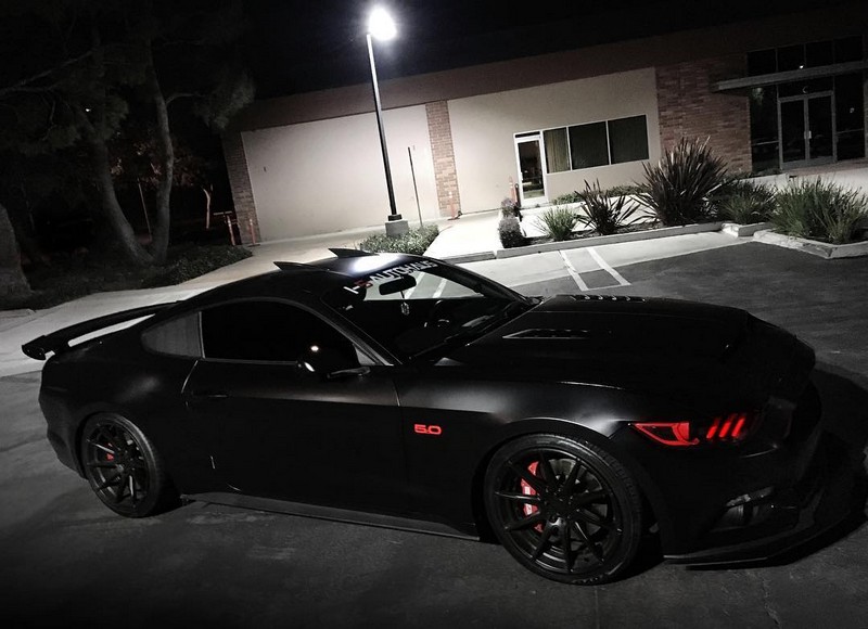 Severe apparatus - One mean Mustang - My Interests