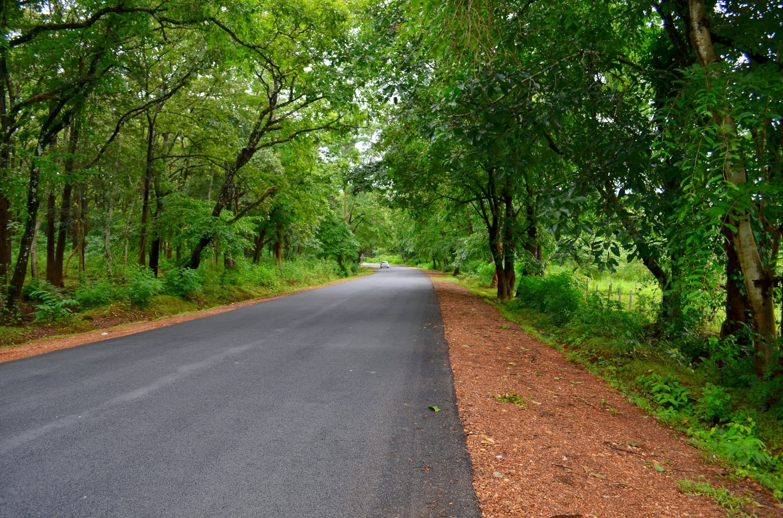 Sharath Hassan A Travelling Photographer: Hosagunda Temple, Hosagunda ...