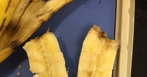 Alex's Anatomy and Physiology Education: Hana the Banana Autopsy