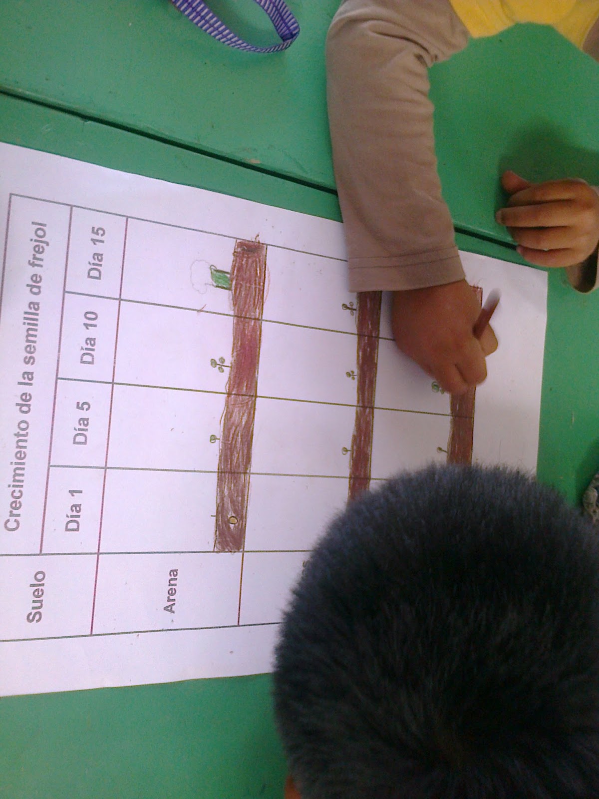 Esperimentar en ciencia y ambiente: octubre 2015