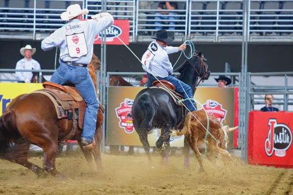 £ TEAM ROPING HORSES