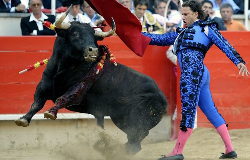 CABANO da TABAUERA: VIVA EL TORO!