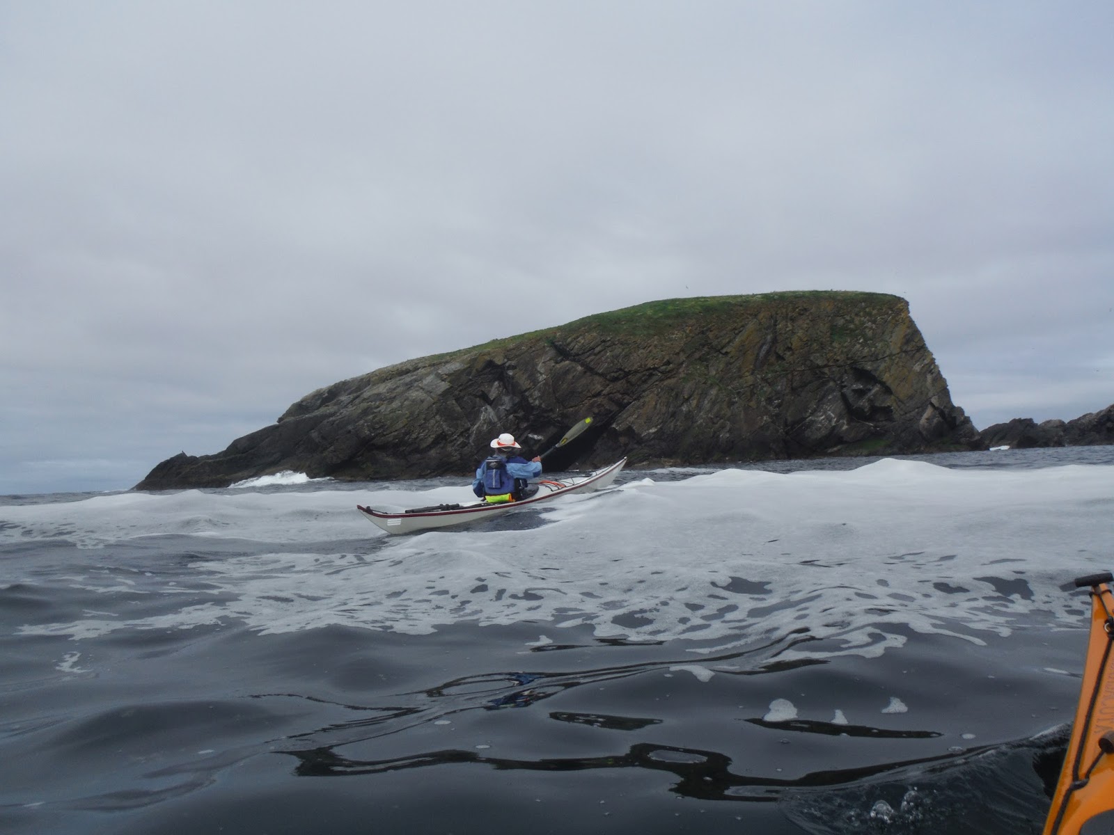 Paddles with an Anas acuta: Shetland: St. Ninian's and Fitful Head