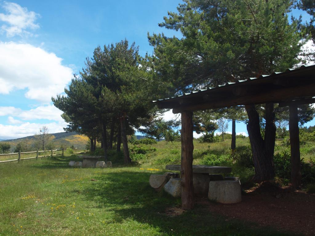 SOM DE PÍCNIC: Àrea recreativa Pla de la Baga, Alp, Cerdanya