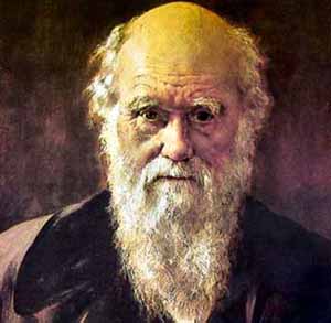 Rosa Rubicondior: In Darwin's Day Rosa Rubicondior: In Darwin's Day