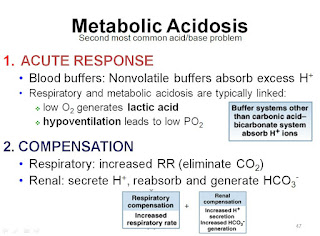 Medicine Newbie: SGD: Compensation in Metabolic Acidosis