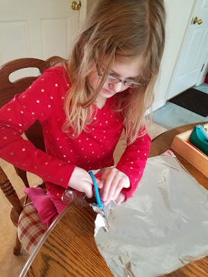 Mom's Tot School: Magic Tree House 1-4 Activities!