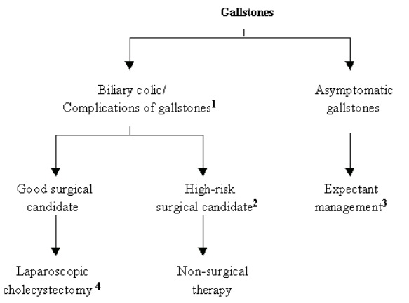 Surgery, 外科手術, 香港外科, 教育博客: Gallstones