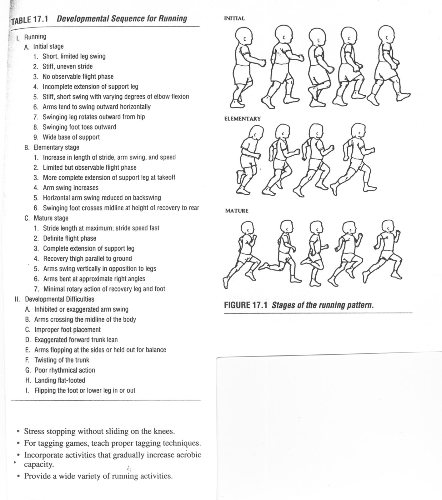gallahue - wood scribd braxin
