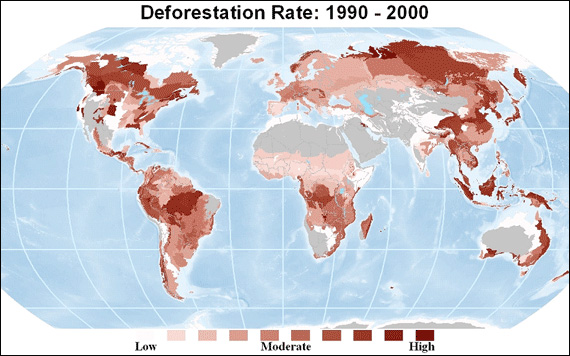 Deforestation Around The World Map - Map