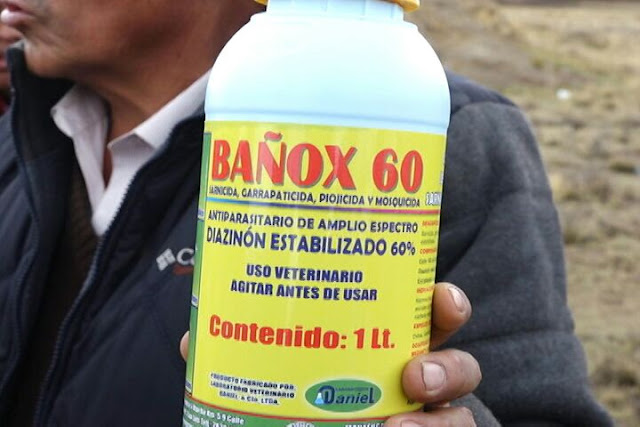 @ANBOLIVIA: REPORTAN MASIVA MUERTE DE GANADO TRAS DESPARASITACIÓN