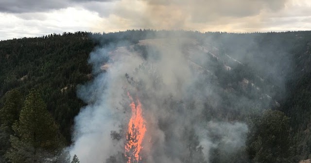 Blue Mountain Prescribed Fire Council