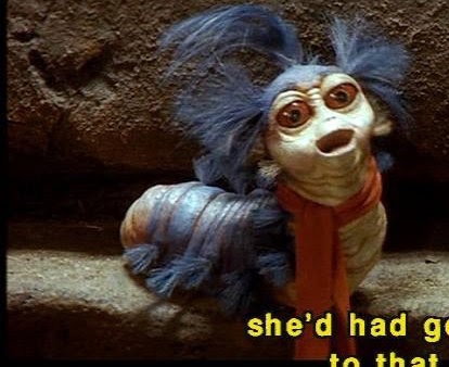 Die Wunderkammer: Labyrinth Worm