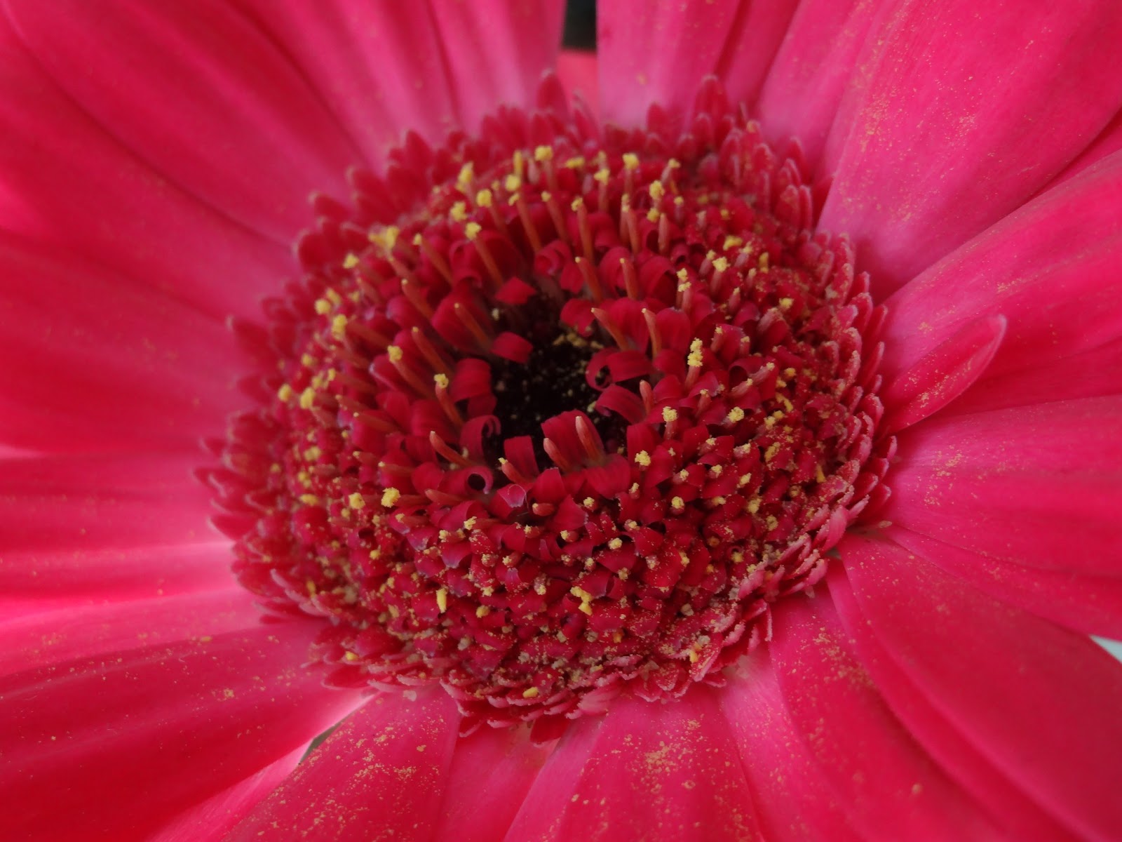 The Light That Shone The Brightest: Recording the beauty of long ...