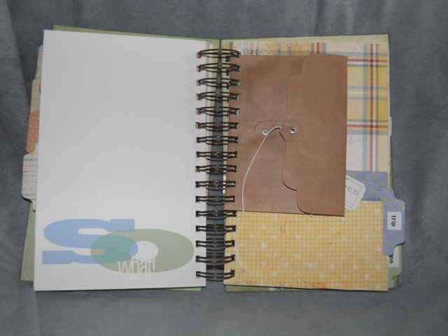 Feathers in my Nest: So, you want to make a smash book....