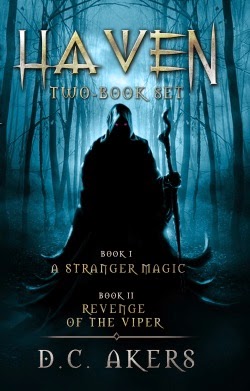 Neon Princesses: Haven Book 1 and 2 Review