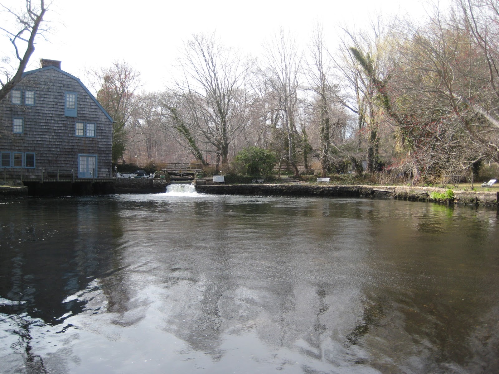 The North River: The Nissequogue River and White's Pool