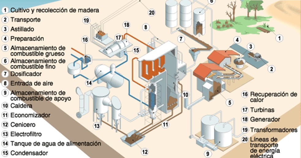 Descripción de una Planta de Biomasa ~ Energía de la Biomasa