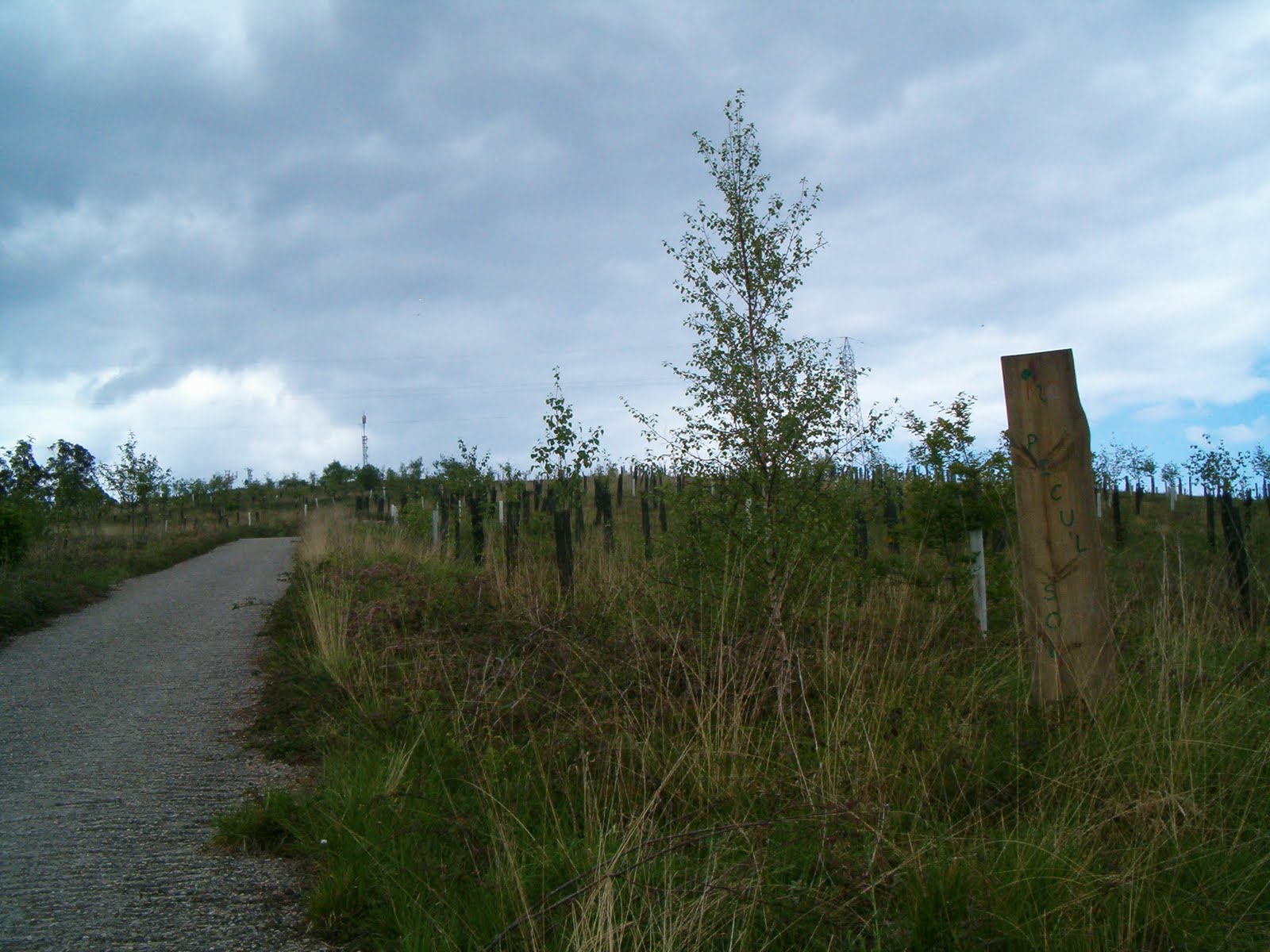 Camudando'l camín: Tueya (Xixón) - Picu'l Sol - Picu Samartín - El Xigal