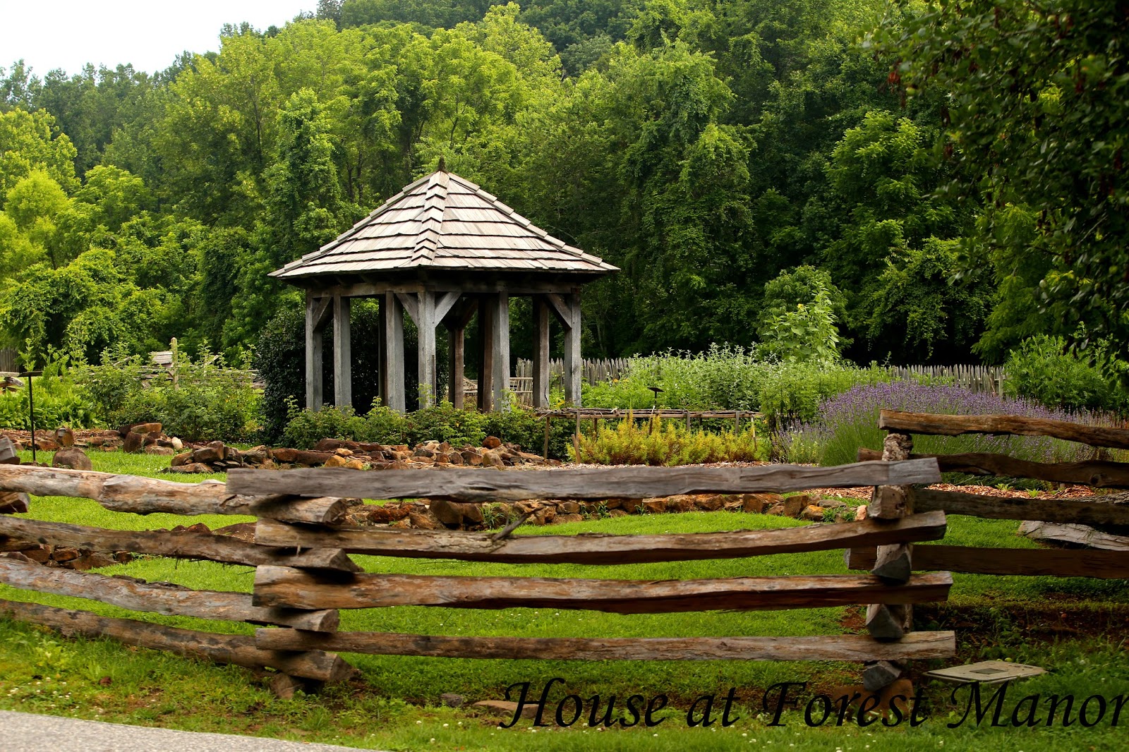House at Forest Manor: The Gardens at Bethabara Park