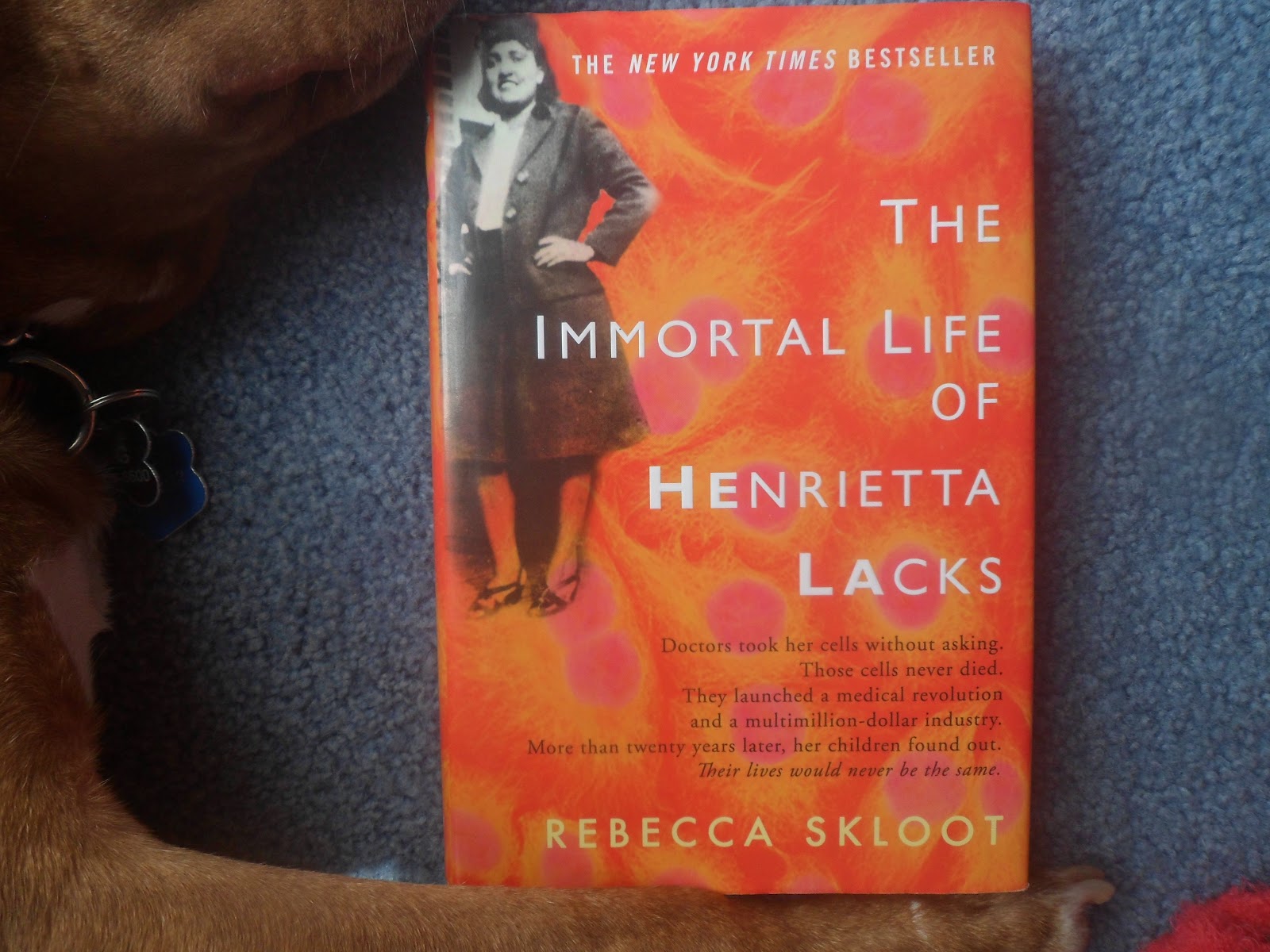 DeelaSees: BOOKS! (The Immortal Life of Henrietta Lacks + One Day We'll ...