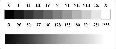 ARTE: Interpretando el valor tonal