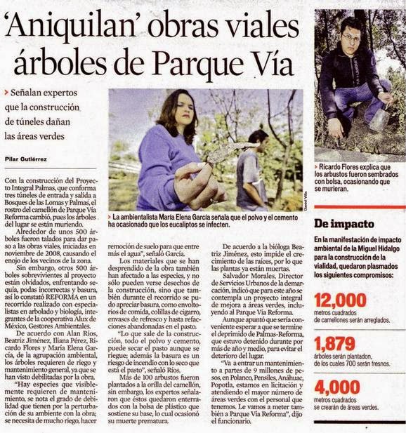 elementos de una revista: REPORTAJE