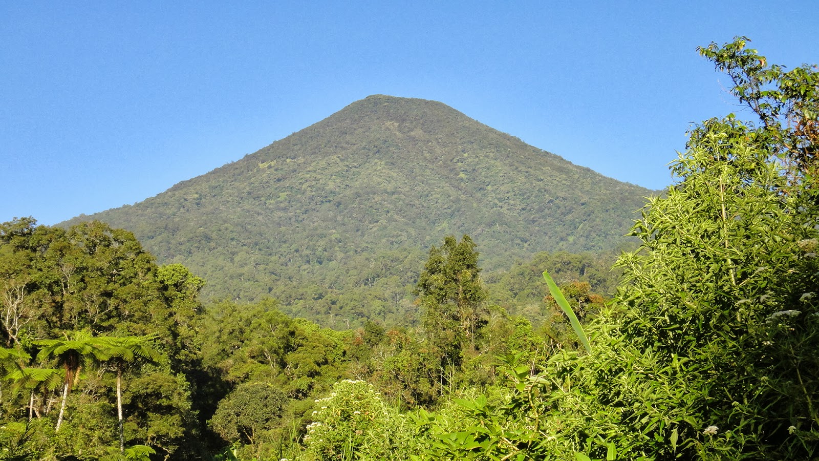 BEAUTY OF INDONESIA: PUNCAK GUNUNG PANGRANGO 3019 MDPL