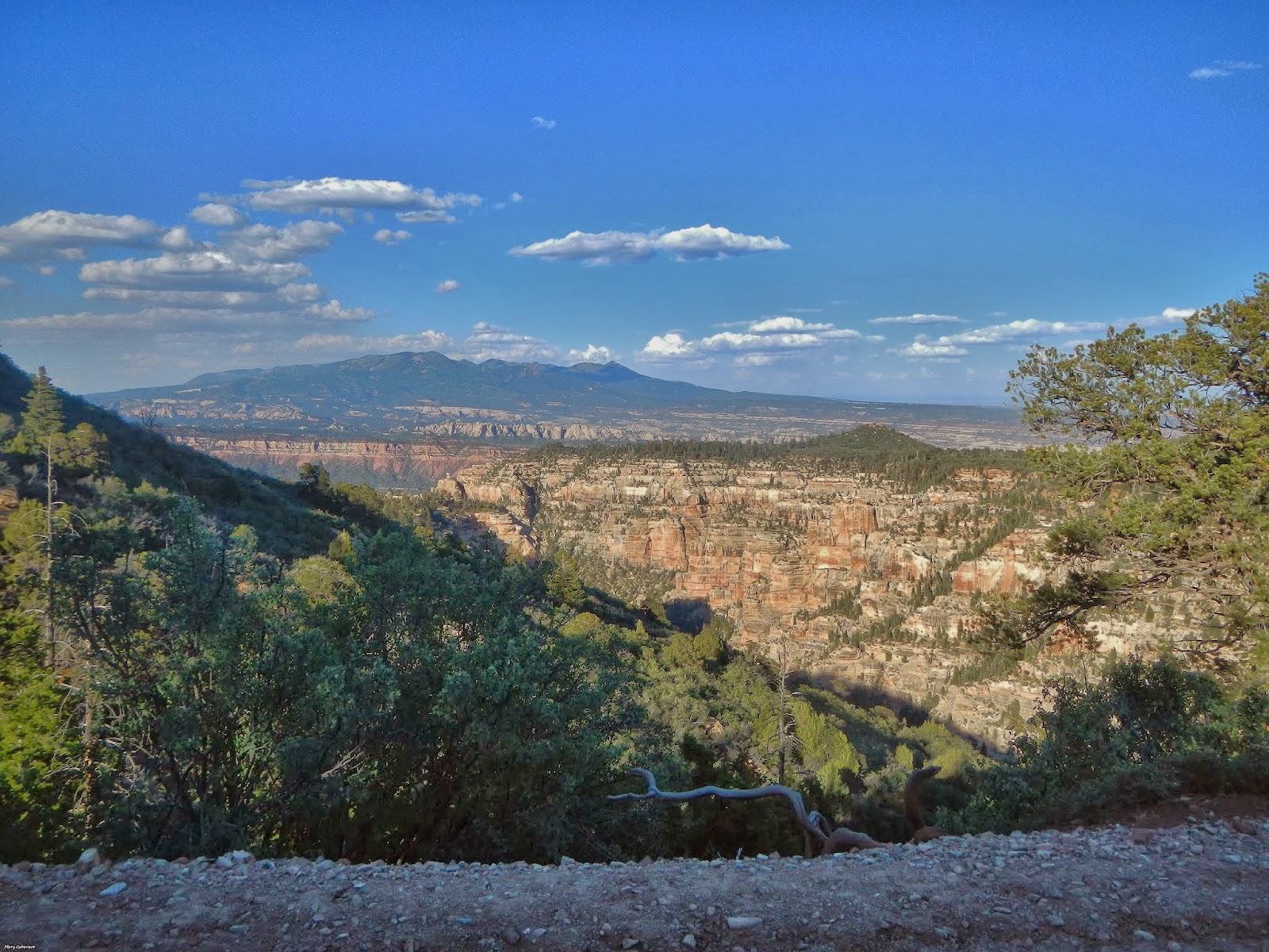 The Southwest Through Wide Brown Eyes: The Manti La-Sal National Forest ...