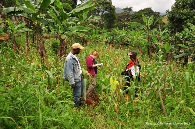 Engineers Without Borders Placement Cameroon: Farm Visit #2