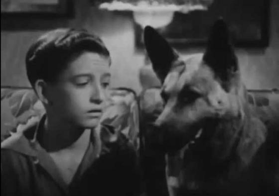 Psychostasy of the Film: Danny Boy A.K.A. Adventures of Danny Boy (1946)