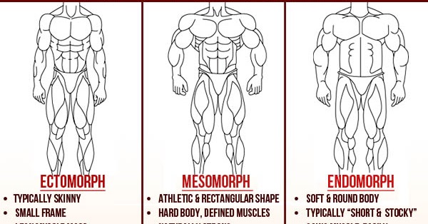 Muscles & Nutrition.: KNOW YOUR BODY-What's your body type?