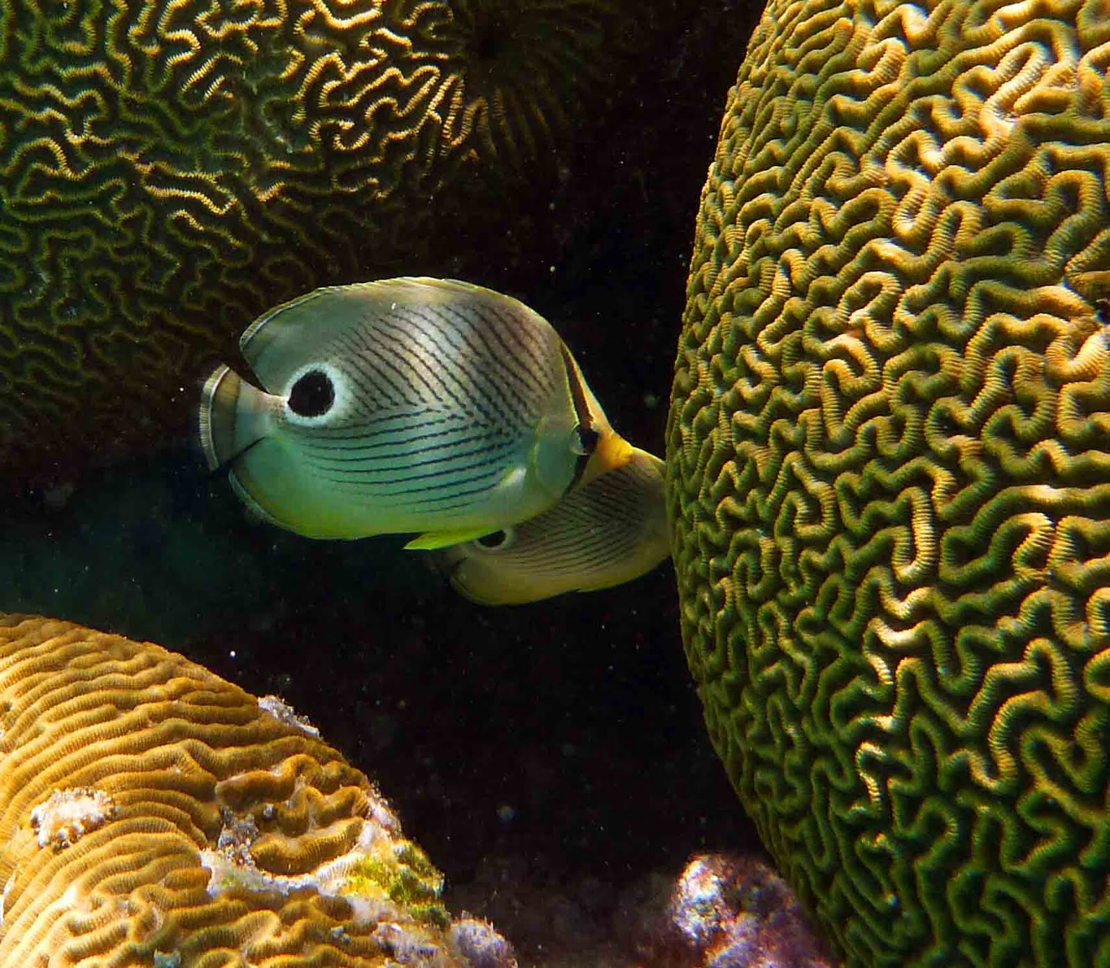Together on the World!: Por fin los Roques!