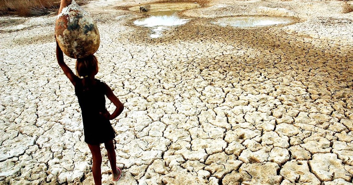 Blog do Mardem: Em 2017 Nordeste poderá ter pior seca dos últimos 100 anos