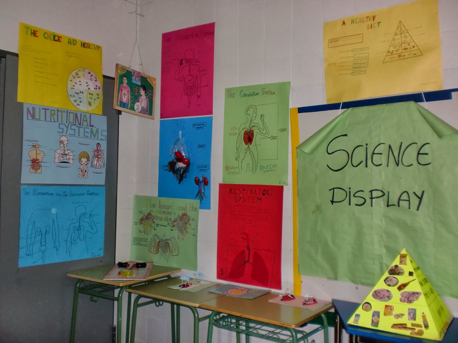 SCIENCE, HISTORY AND GEOGRAPHY, YEAR 5 and 6: SCIENCE DISPLAY UNITS 1 AND 2