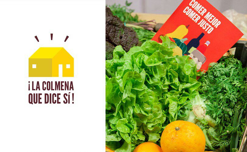 ¡LA COLMENA QUE DICE SÍ! - THE WORLD KATS MAGAZINE