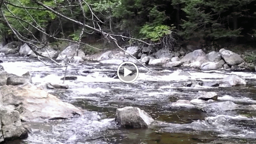 mommynovenas Catholic Book Club : Trusting in God With St. Therese by ...