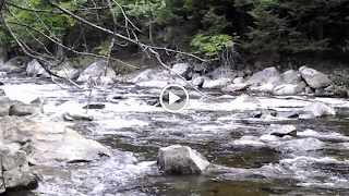 mommynovenas Catholic Book Club : Trusting in God With St. Therese by ...