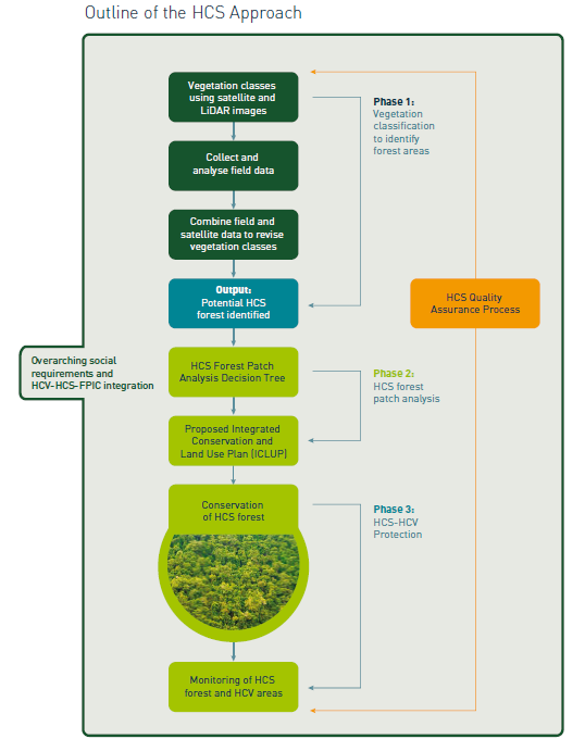 Selamatkan Hutan, Tingkatkan Kepedulian & Gapai Harapan Bersama High ...